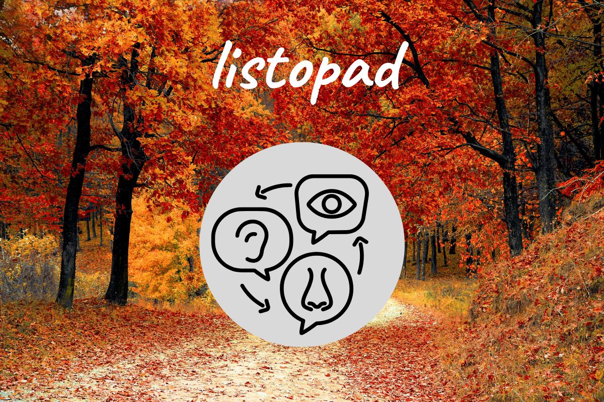 Poznávejte přírodu všemi smysly: listopad | Příroda do kapsy.cz